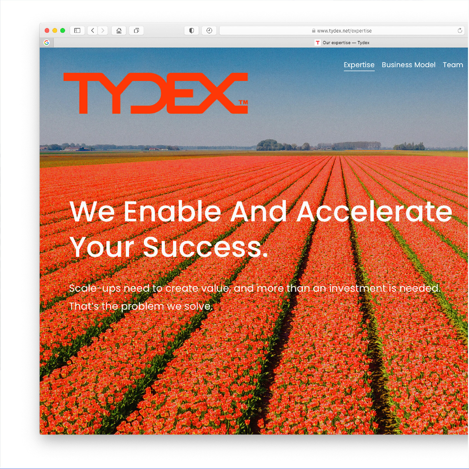 Tydex Tydex